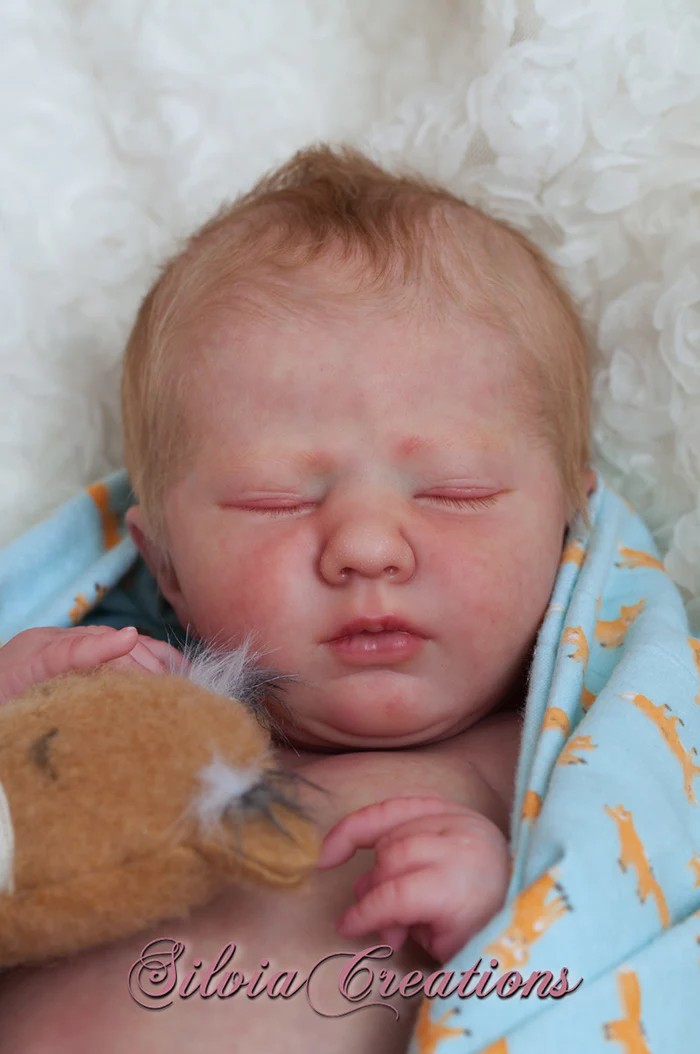 MATERIALES Y SUMINISTROS REBORN